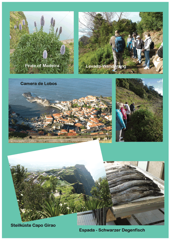 MADEIRA 2024 / Pfeiffer-Reisen.de